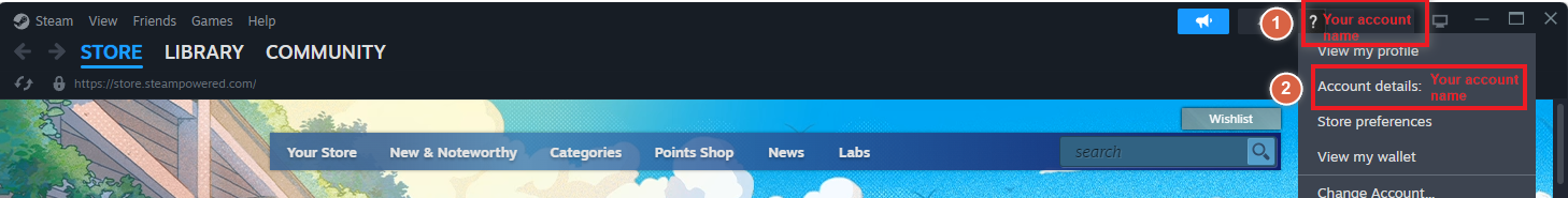 How to check transaction history on Steam – IRONMACE